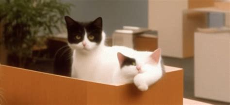 Как подключить телефон к телевизору все способы