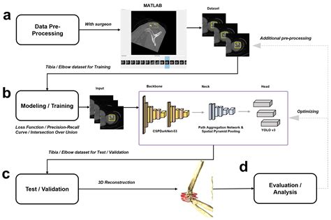 Diagnostics Free Full Text Deep Learning Model Based On You Only Look Once Algorithm For
