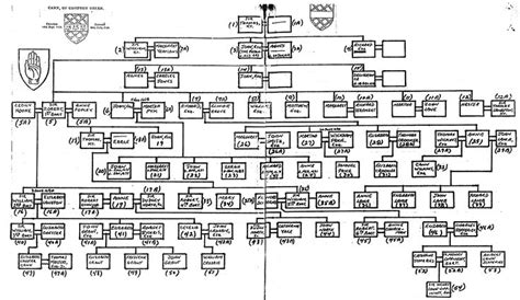 Ubuntu Family Tree Viewer To View Everyone In Database On 1 Image