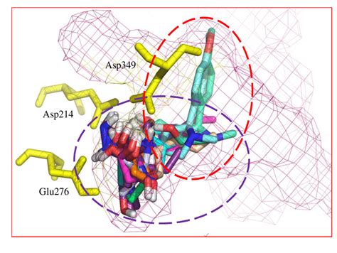 The Comparison Of Binding Pose Of Compounds Cos 1 11 In The Binding
