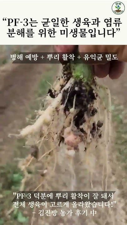 Pf 3로 균일하게 생육 스트레스 ↓ 염류 토양에 강한 단비 미생물 농사대장 Gardening 자연순환농법 단비미생물