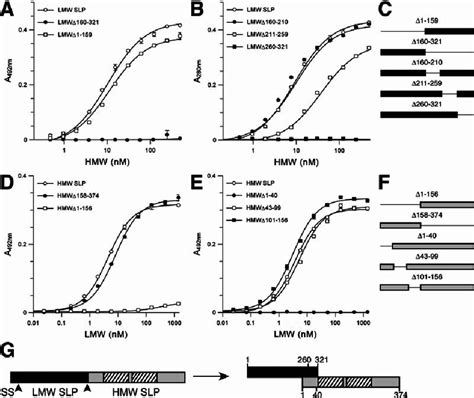 Identification Of Slp Interaction Domains By Elisa Analysis Of Deletion