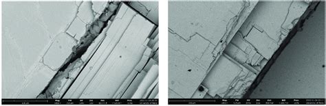 Sem Micrographs Bsi For Different Fracture Surfaces Of The Used