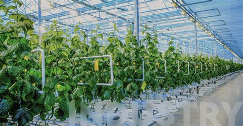 Agriculture Software Development Services By Trinetix