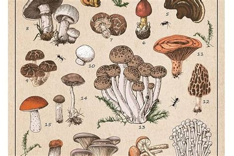 ایده پوستر برای اتاق تستچی