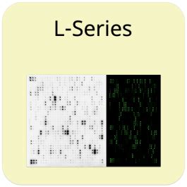 Human L8 Array Membrane RayBiotech