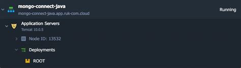 การเชื่อมต่อ Java กับ Mongodb คู่มือการใช้งาน Ruk Com Cloud Paas