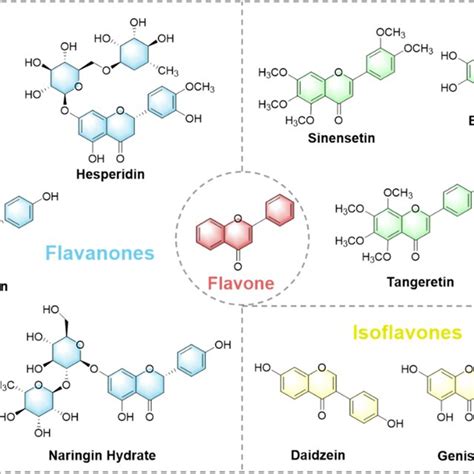 Structures Classification Of The Investigated 14 Flavonoids Download