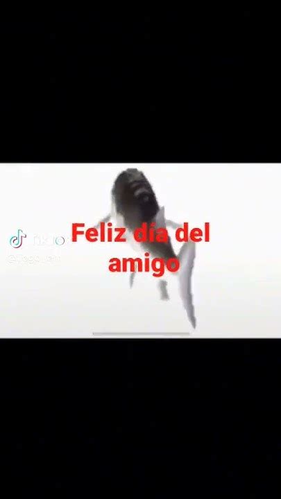 Sas Youtube