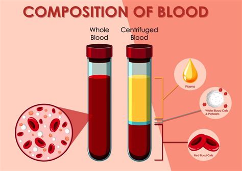 PRP Treatment