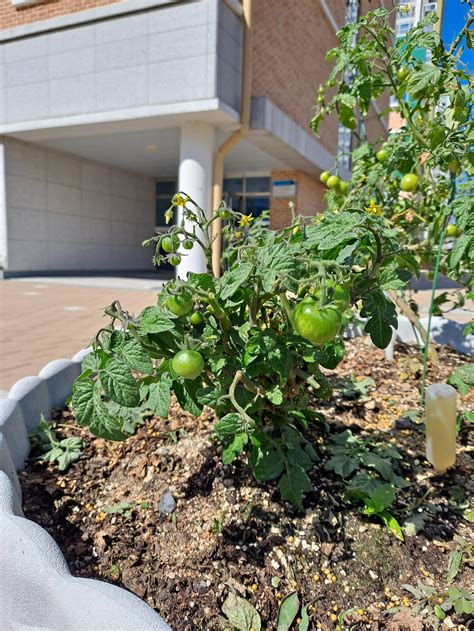 참고 인내하는 시간이 필요한 이유