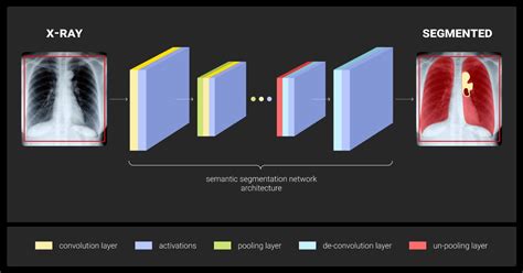 Semantic Segmentation Enriching Image Data In 2025 Label Your Data