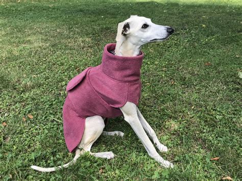 Whippet Coat Pdf Sewing Pattern Fancypetpatts