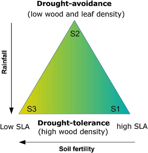 Schematic Representation Of The Trait Syndromes In The Form Of A