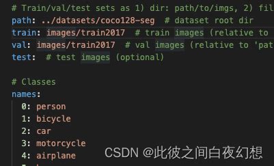 Python实例分割 YOLOv segment使用教程完善中 yolov 实例分割 CSDN博客