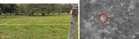 Picture Of Terrain To Be Inspected Visible Spectrum A Infrared Download Scientific Diagram