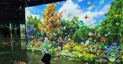 울진 왕피천공원 특별할인 이벤트 마련