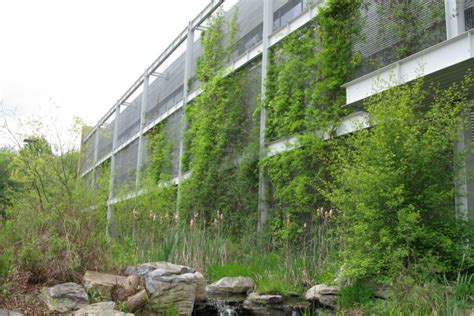 The Benefits Of Biodiversity And Green Infrastructure