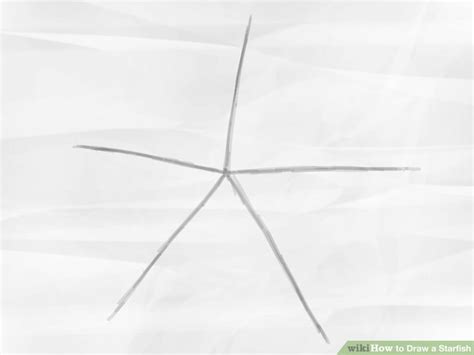 How To Draw A Starfish Steps With Pictures WikiHow