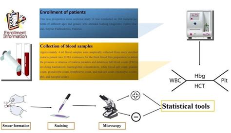 The Graphical Methodology Download Scientific Diagram