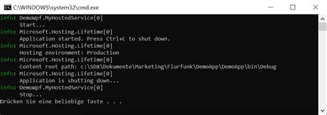 microsoft extensions hosting and wrap up sdx ag