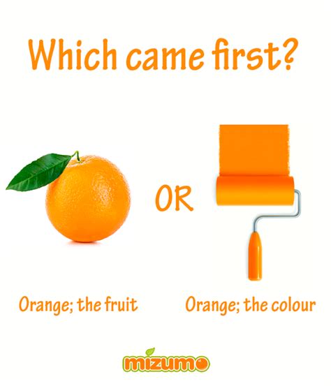 Which-came-first_MIZUMO - exprimidormizumo