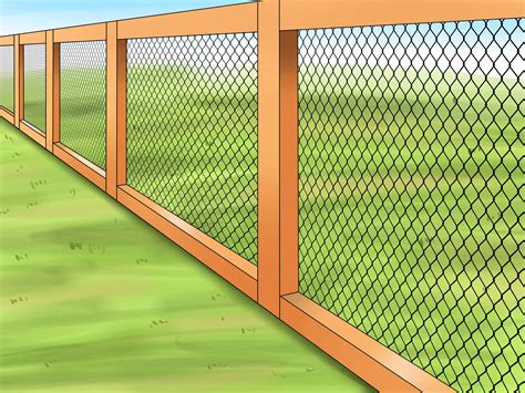 Ways To Tell If A Cat Has Rabies WikiHow