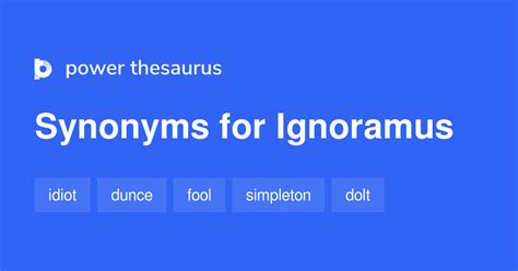 Ignoramus Synonyms 989 Similar Words And Phrases