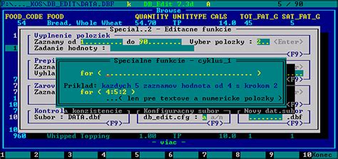 DB Edit Database Editor RmSOFT