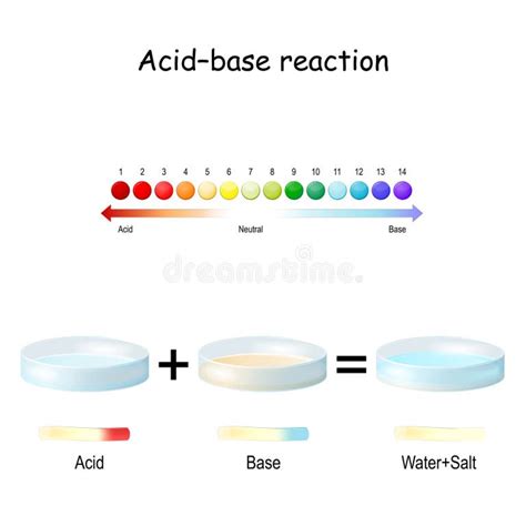 Acid Base Theory Stock Illustrations 29 Acid Base Theory Stock