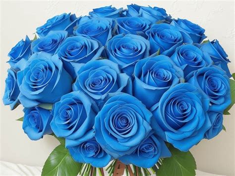 Blue Rose A Complete Guide To Meaning And Symbolism Floristempire