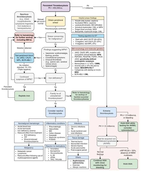 Thrombocytosis Algorithm