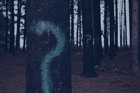 How To Choose The Right Erp For Your Business Intelligent