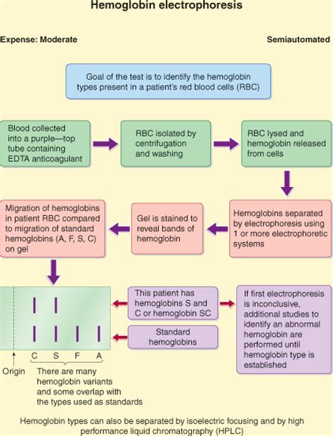 Methods Basicmedical Key