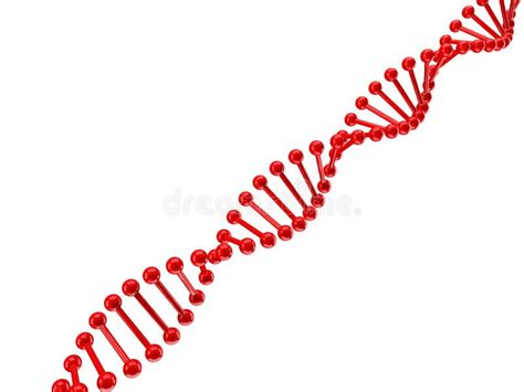 Dna Structure Over White Stock Illustration Illustration Of Render