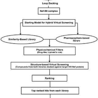 Flow Diagram Outlining The Computational Strategy Adopted In This Study Download Scientific