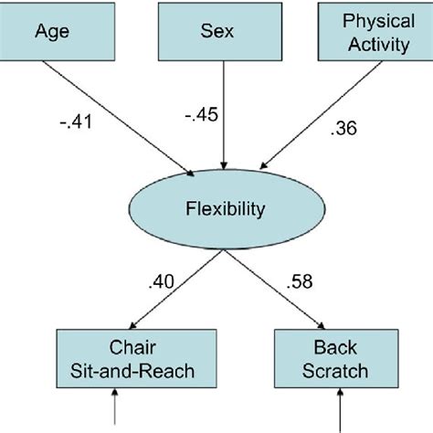 Model Of Flexibility Download Scientific Diagram