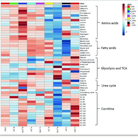 Heatmap The Heatmap Provides Intuitive Visualization Of A Data Table