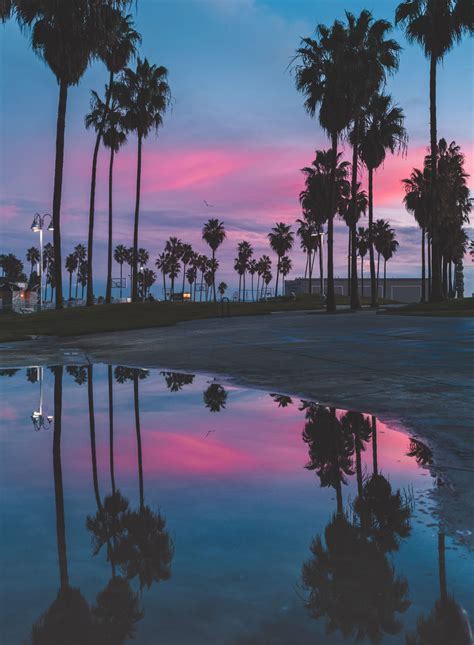 Venice Beach Sunsets Are The Best 15 Inspiring Sunset Photos Of Venice