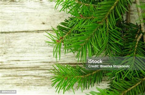 흰색 시골풍 테이블에 크리스마스 트리 분기 부분 닫습니다 텍스트에 대 한 공간을 복사 합니다 0명에 대한 스톡 사진 및 기타 이미지 Istock