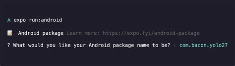introducing expo run commands