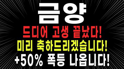 금양 주가전망 11월 50 폭등 이것 때문에 나옵니다 드디어고생끝 미리 축하드리겠습니다 주말 필수시청하시고 손실 수익으로 전환하시길 바랍니다 2차전지