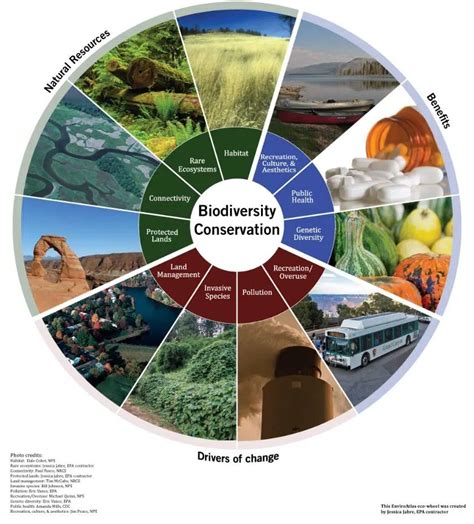 Biodiversity Conservation Sigma Earth