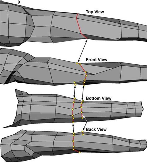 Modeling The Male Arm Tutorial Low Poly
