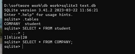 链接sqlitesqlite连接 Csdn博客