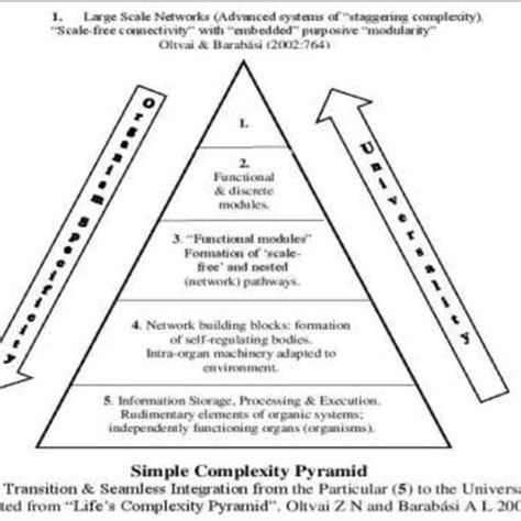 The Complexity Pyramid Showing Progression From Simple To Complex Download Scientific Diagram