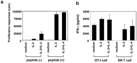 Dn T Cells From Lns And Spleen Of Double Tg Mice Respond To Ova Peptide Download Scientific