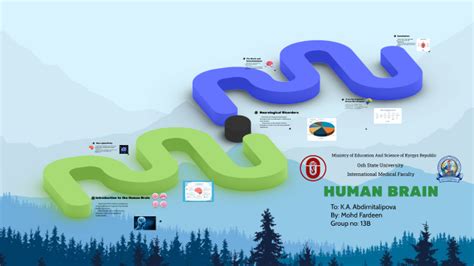 Human Brain By Mohd Fardeen By Mohd Fardeen On Prezi