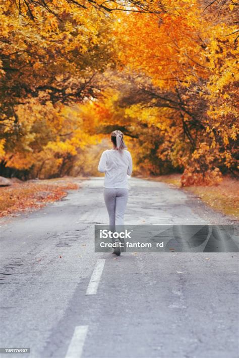 아스팔트 도로에 조깅 트랙에 가을 단풍의 배경에 여성의 뒷면 가을 자연에 스포츠 포니 테일 소녀 개념 건강과 활동적인 라이프 스타일 가을에 대한 스톡 사진 및 기타 이미지
