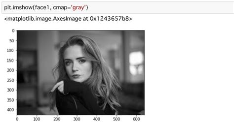 【python】opencvのhaar Cascadesによる顔検出